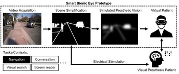 Research | Bionic Vision Lab